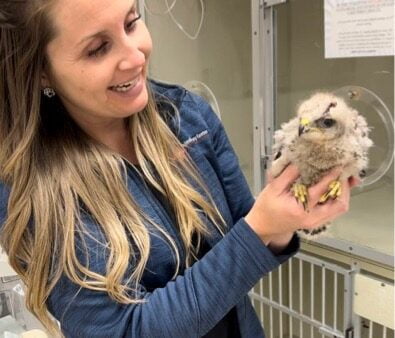 Photo Gallery | Animal Emergency Center