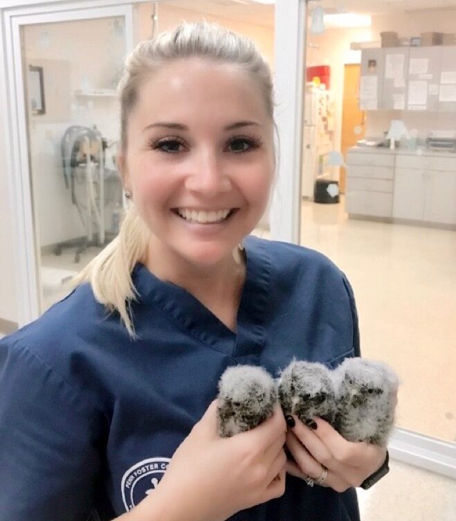 Photo Gallery | Animal Emergency Center